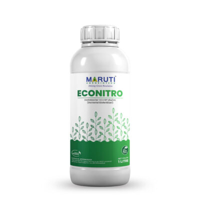 Home - Maruti Agro Biotech